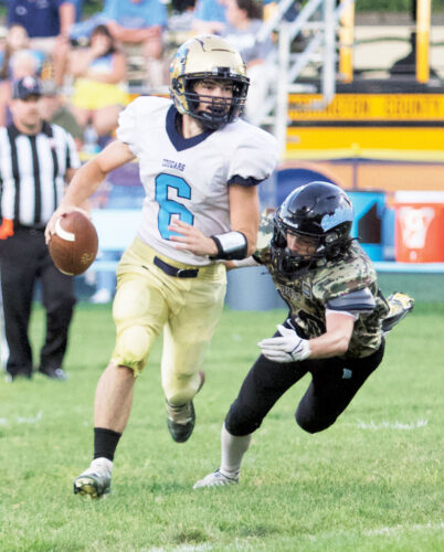 Wildcats take on red-hot Shenandoah; Tigers visit Athens | News, Sports ...